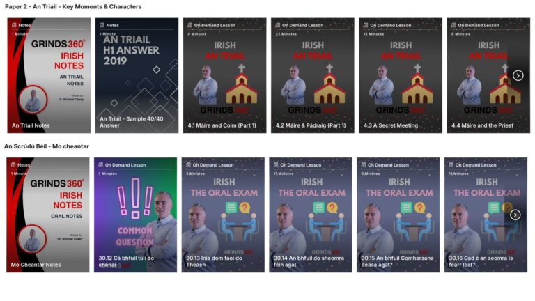 Leaving Cert Irish Grinds - Grinds360 - Online & In-Person